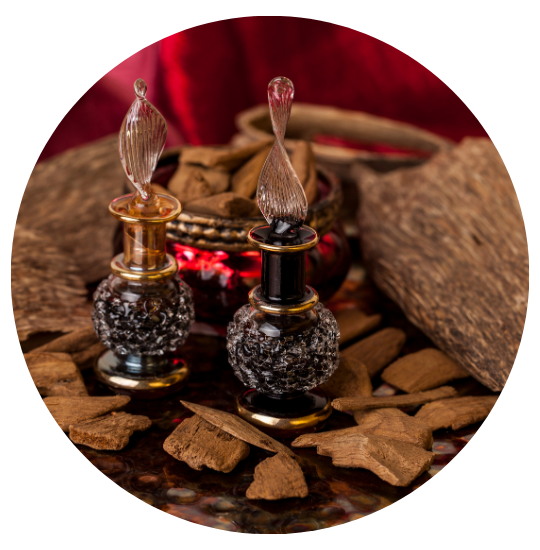 Parallel Perfumes - Best Alternate Perfume store in India ...